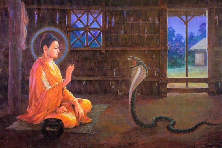 Snake Zodiac Sign - Year of Snake Traits with Horoscope Meaning ...